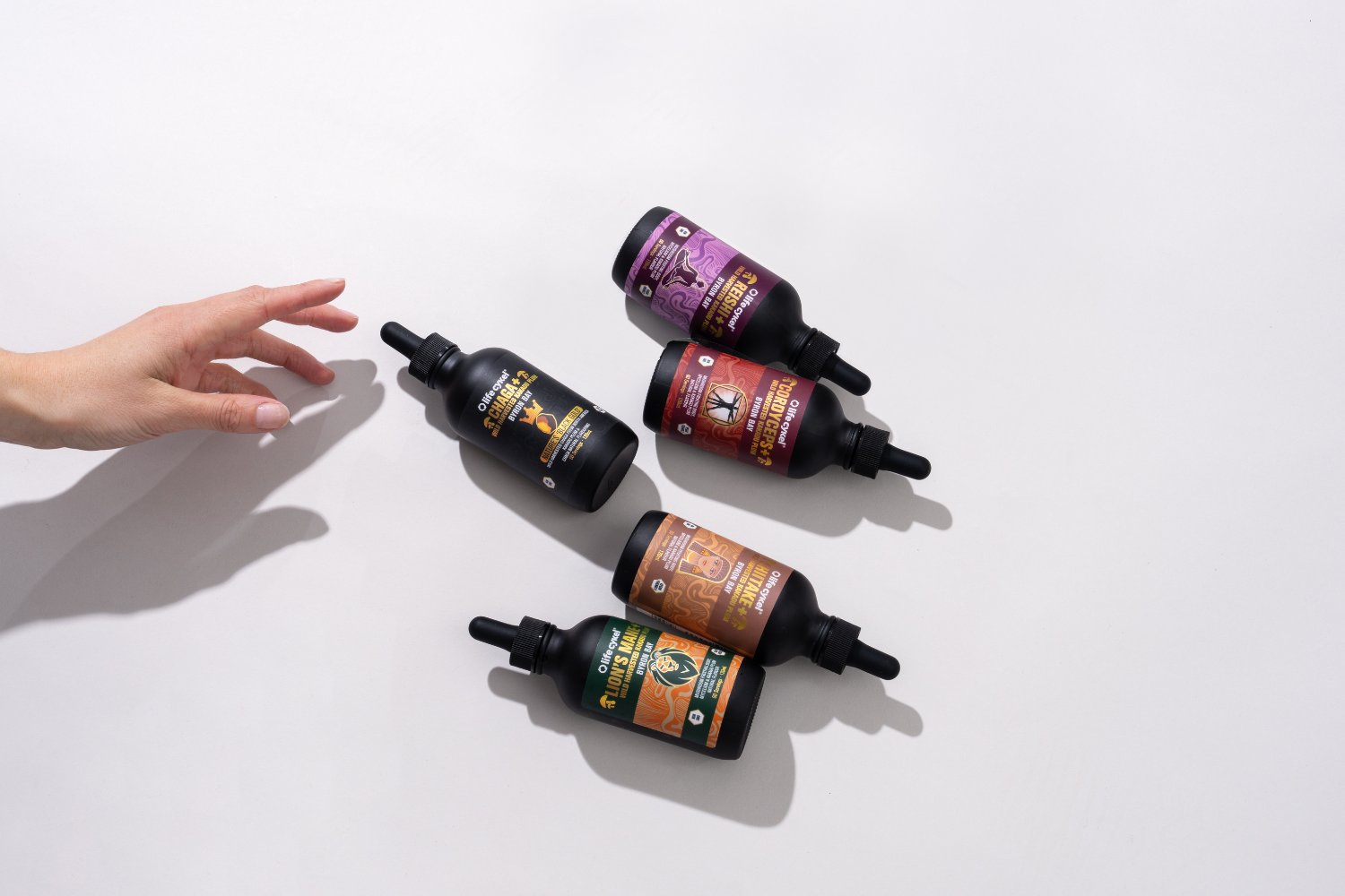 Mushroom Extract Value Packs | Save More With Packs — Lifecykel UK Mushroom Extract Value Packs | Save More With Packs — Lifecykel UK