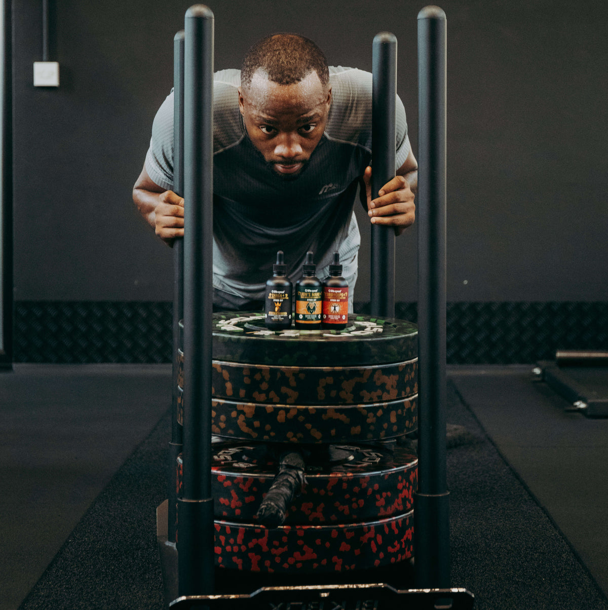 Mushroom Extract Value Packs | Save More With Packs — Lifecykel UK