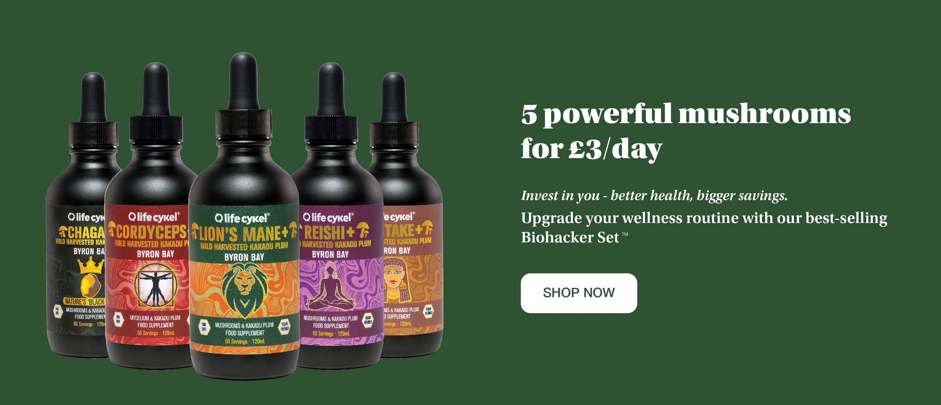 Lifecykel - Pure, potent, liquid mushroom extracts — Lifecykel UK