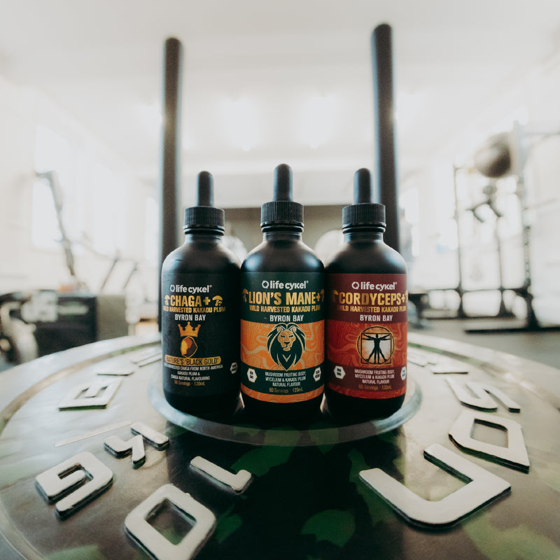 Lifecykel Mushroom Extract Bundles for Wellness Savings — Lifecykel UK
